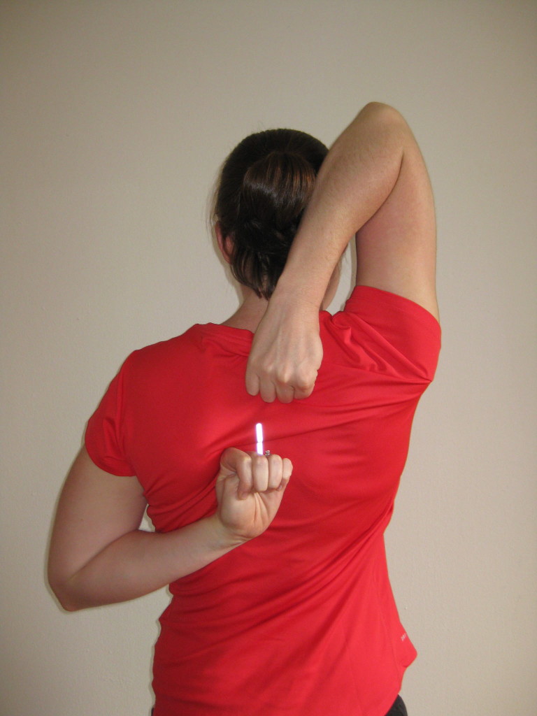 Pull Exercise Progressions